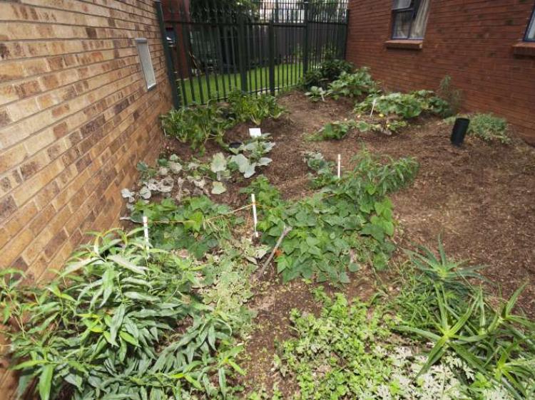 Flats and Apartments to Rent in Newtown | Brickfields